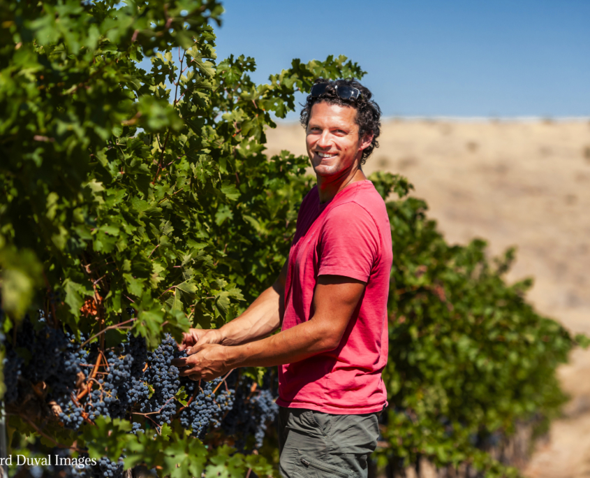 Wine Industry News from Discover Washington Wine